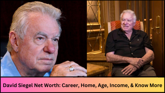 David Siegel Net Worth: Career, Home, Age, Income & Know More